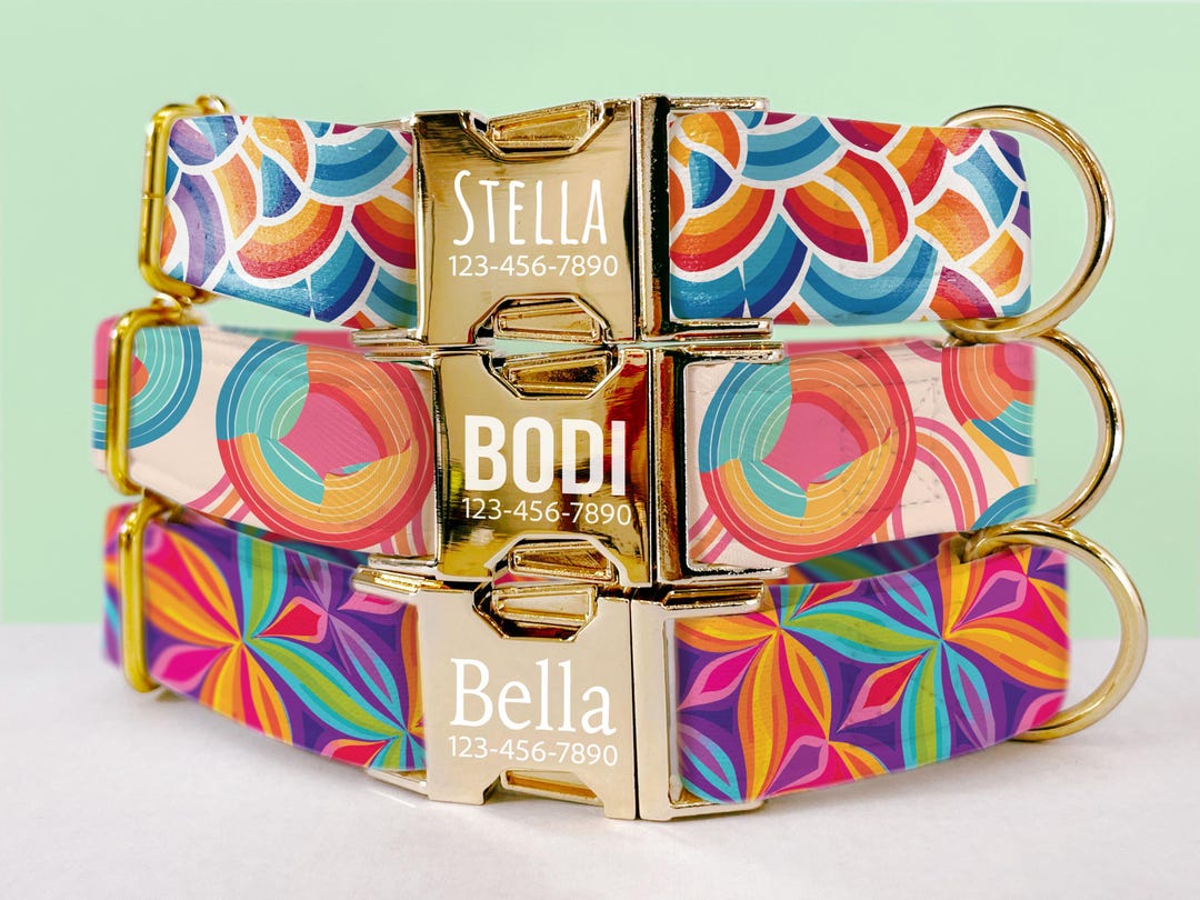 Personalized 70s Style Dog Collar, Custom With Name Groovy Dog Collars ...