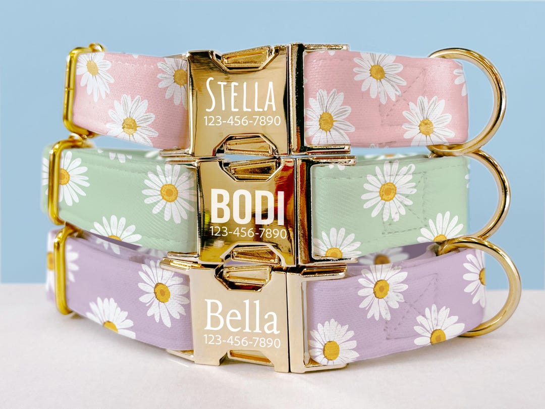 Pink Daisy Dog Collar Girl, Cute Dog Collars, Daisy Dog Collar, Flower ...