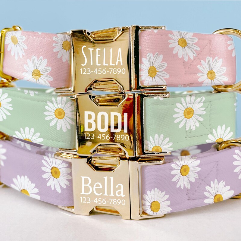 Girl Dog Collar - Etsy
