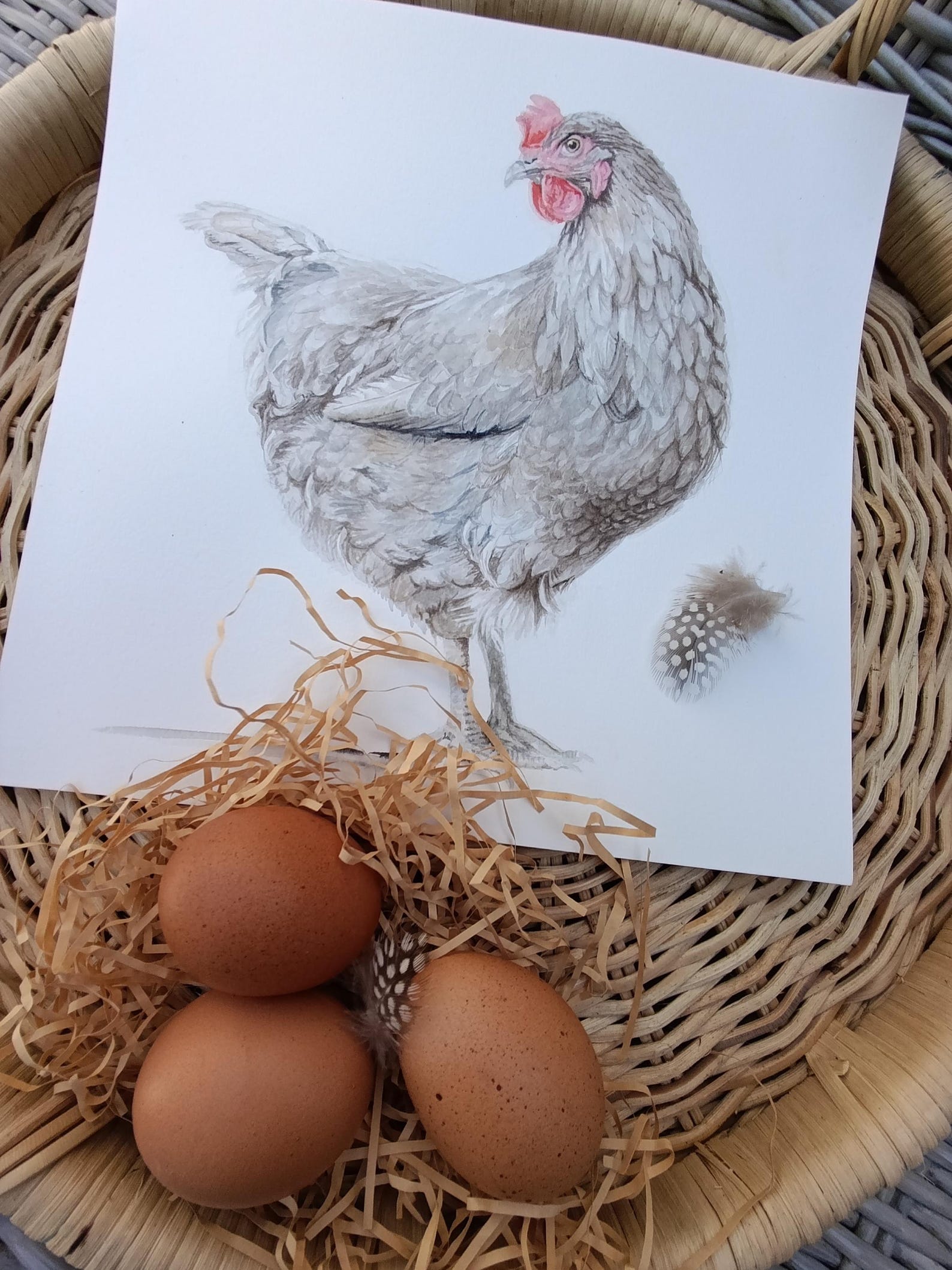 Hand-painted Watercolor Chicken Art: Farmhouse Kitchen Decor - Etsy