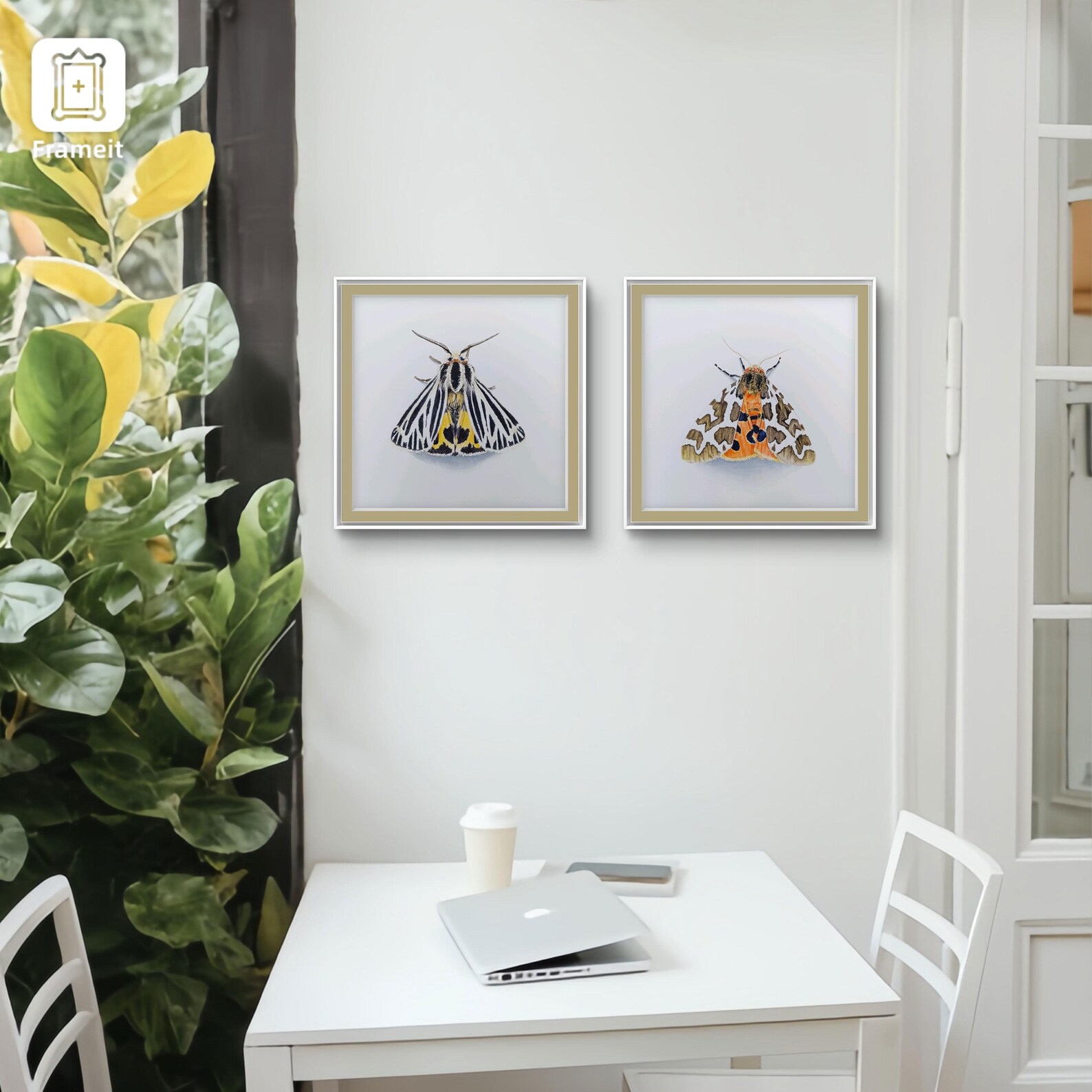 Hand-painted Moth Art: Botanical Watercolor Painting (26x26cm) - Etsy