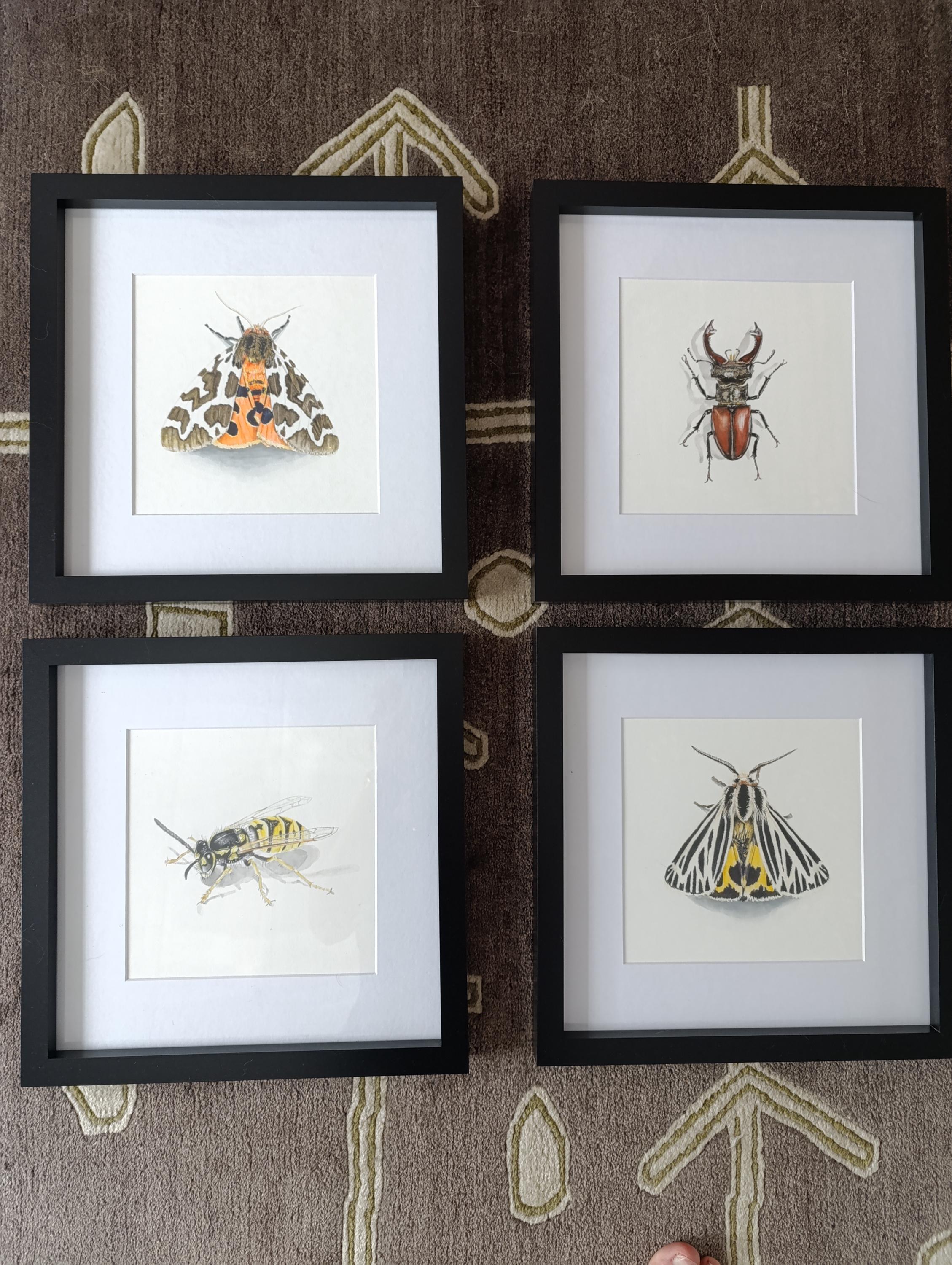 Hand-painted Moth Art: Botanical Watercolor Painting (26x26cm) - Etsy