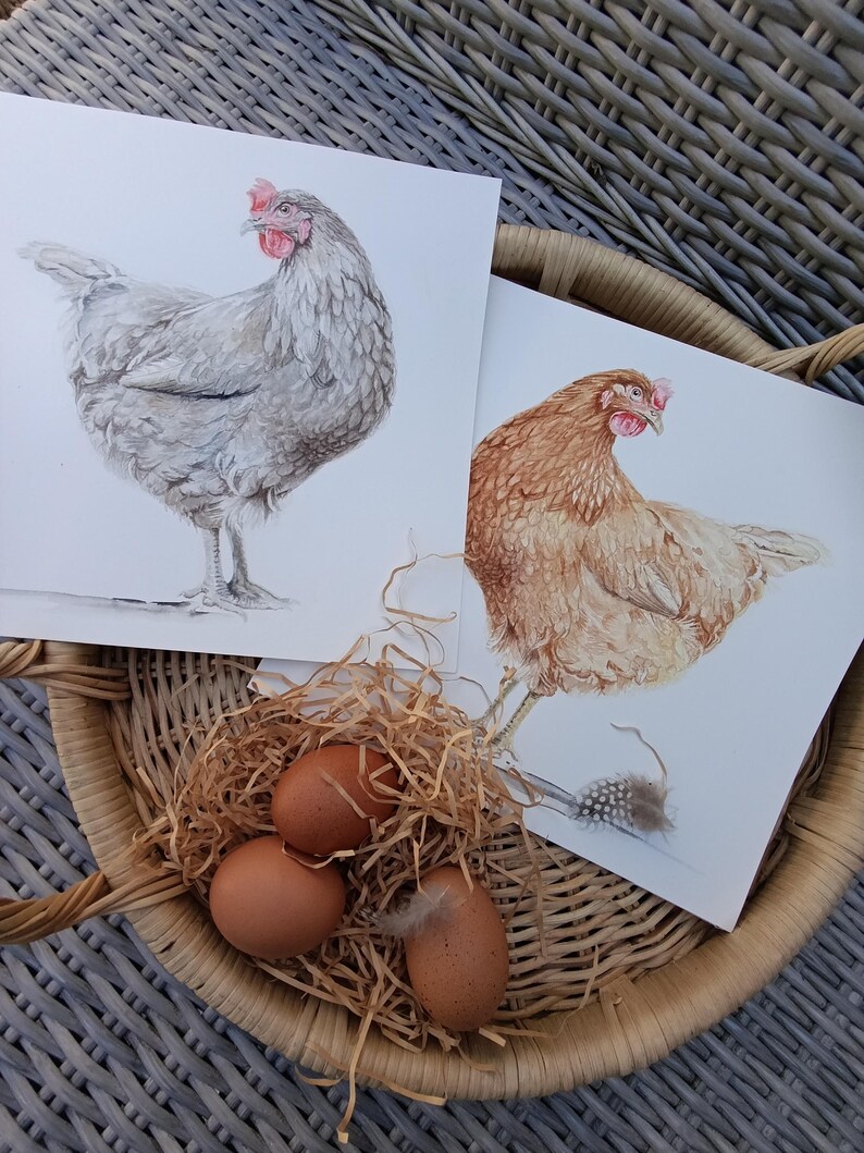Hand-painted Watercolor Chicken Art: Farmhouse Kitchen Decor - Etsy