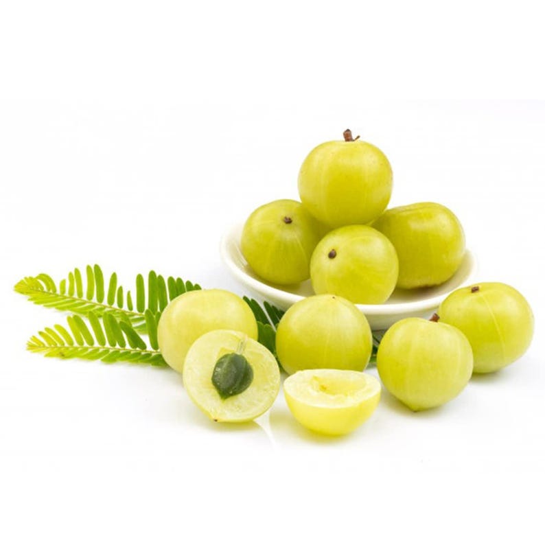 Raw Dried Amla Fruit, Whole Dried Indian Gooseberry, Tangy Herbal ...