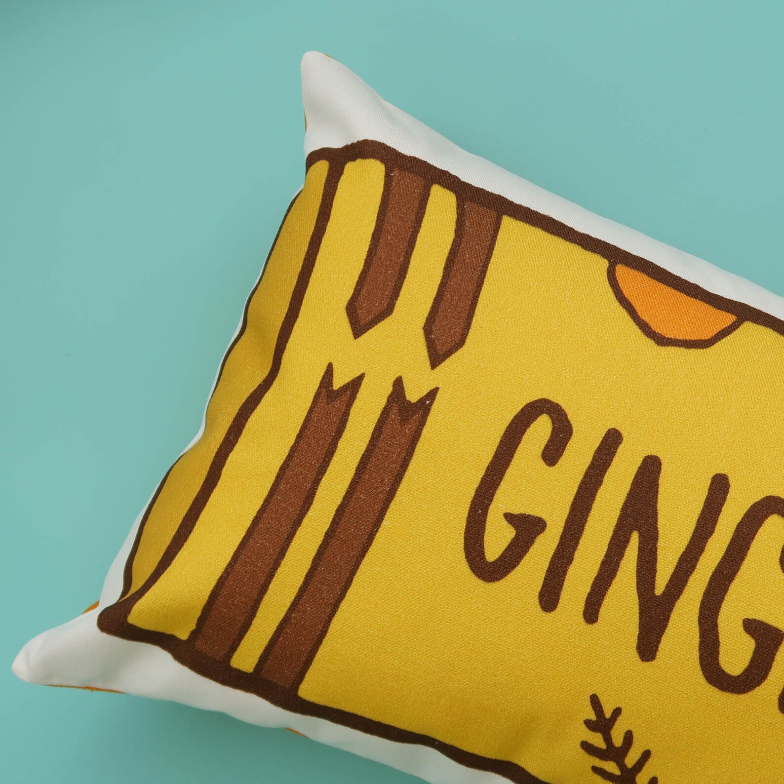 Packet of Ginger Nut Biscuits Printed Cushion / Biscuit - Etsy