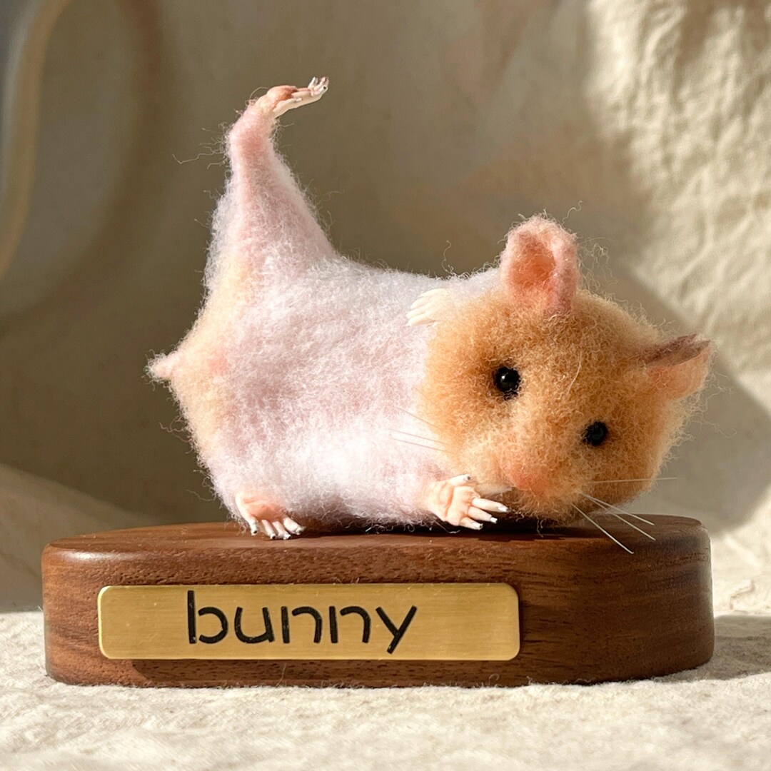 Custom Hamster Portrait: Needle Felted Wool Pet Sculpture - Etsy
