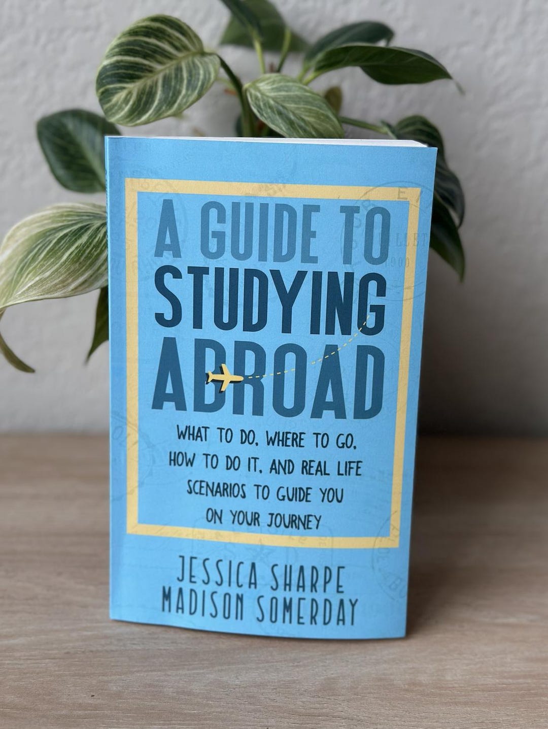 A Guide to Studying Abroad: What to Do. Where to Go. How to Do It. and ...