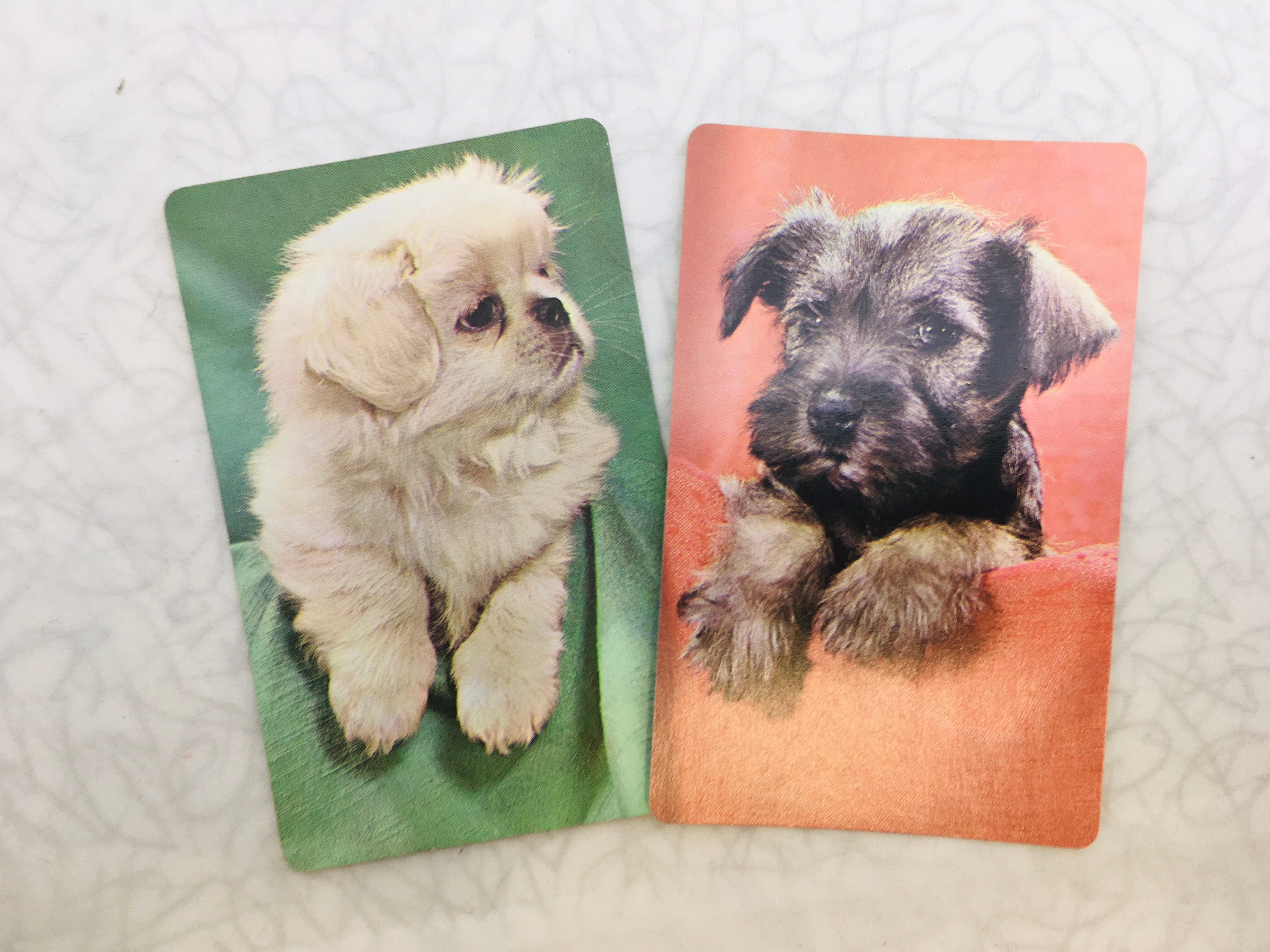 12 Puppy playing cards Playing cards swapPuppies playing | Etsy
