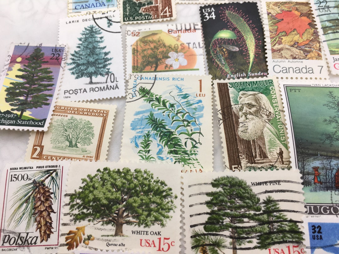 30 Tree Postage, Trees, Plants, Stamps Vintage Stamps, Postage Stamps ...