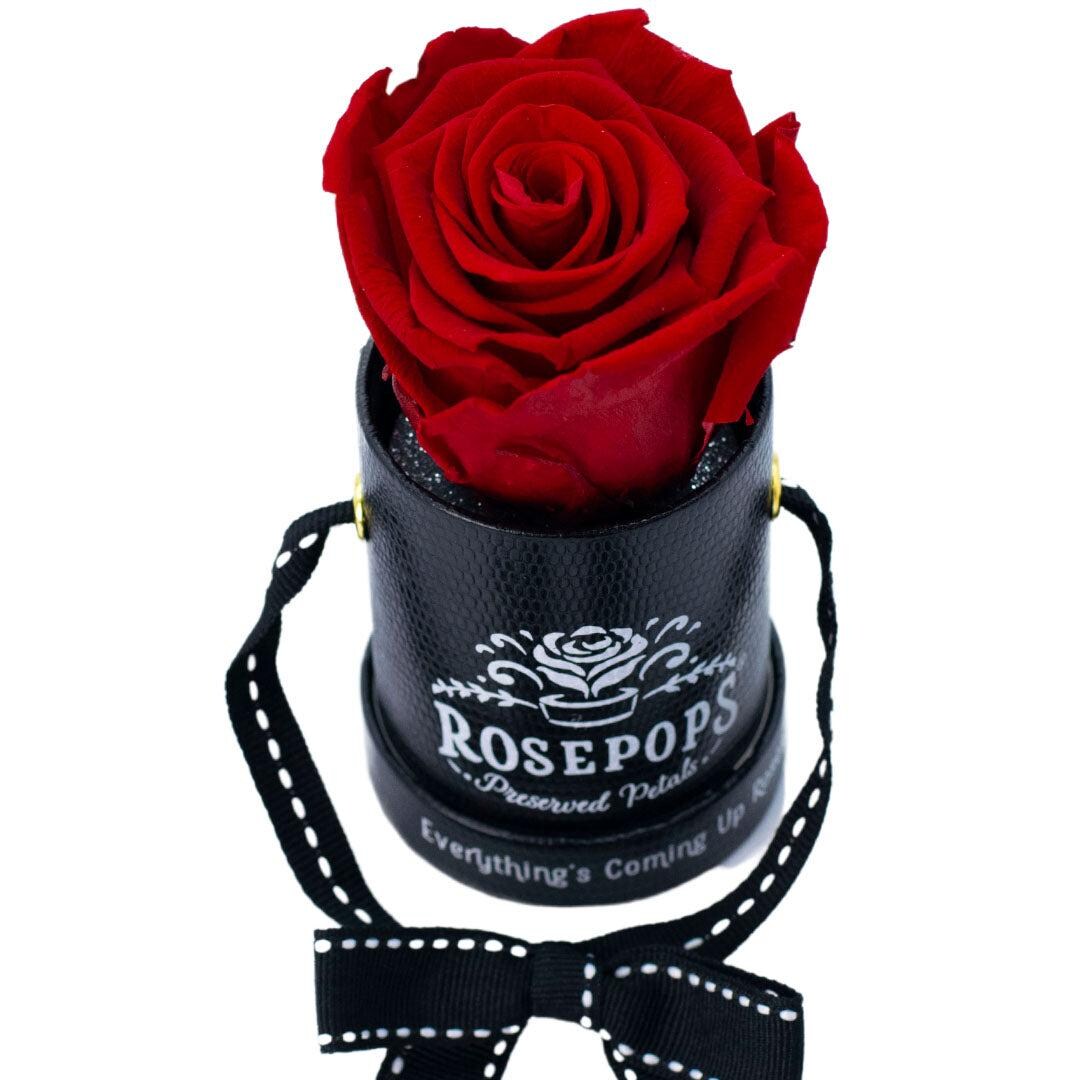 One up - Single Preserved Rose Gift Box - Etsy