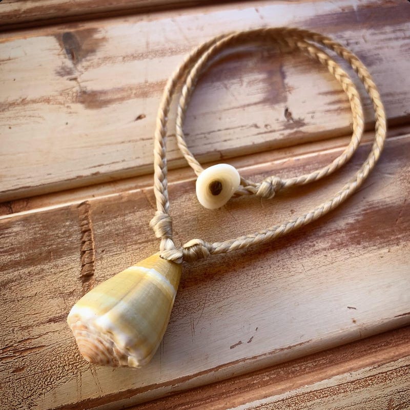 Cone Shell Jewelry - Etsy