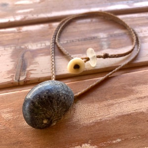 Hawaiian Black Kupee Shell Necklace on Hand Braided Sinew With Locking ...