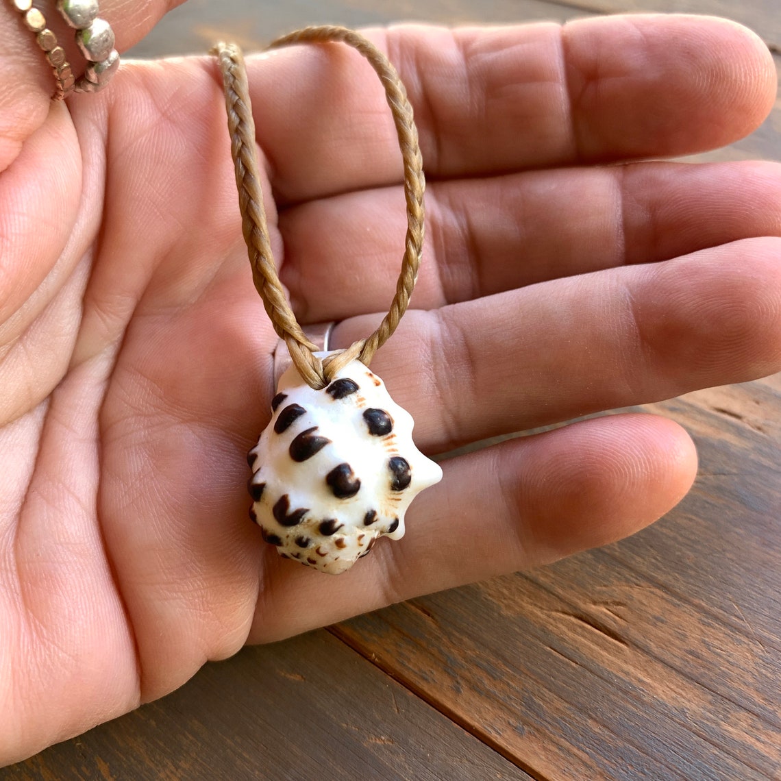 Hawaiian Spotted Drupe Shell Necklace With Locking Seaglass | Etsy