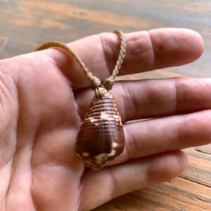 Hawaiian Cat Cone Shell Necklace on Hand Braided Sinew With Locking ...