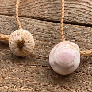 Purple Spiral Puka Cone Shell Cap Necklace - Etsy