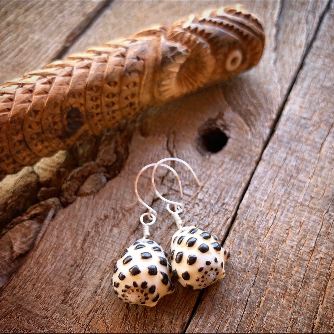 Hawaiian Spotted Drupe Shell Earrings on Sterling Silver - Etsy