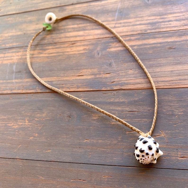 Hawaiian Spotted Drupe Shell Necklace With Locking Seaglass - Etsy