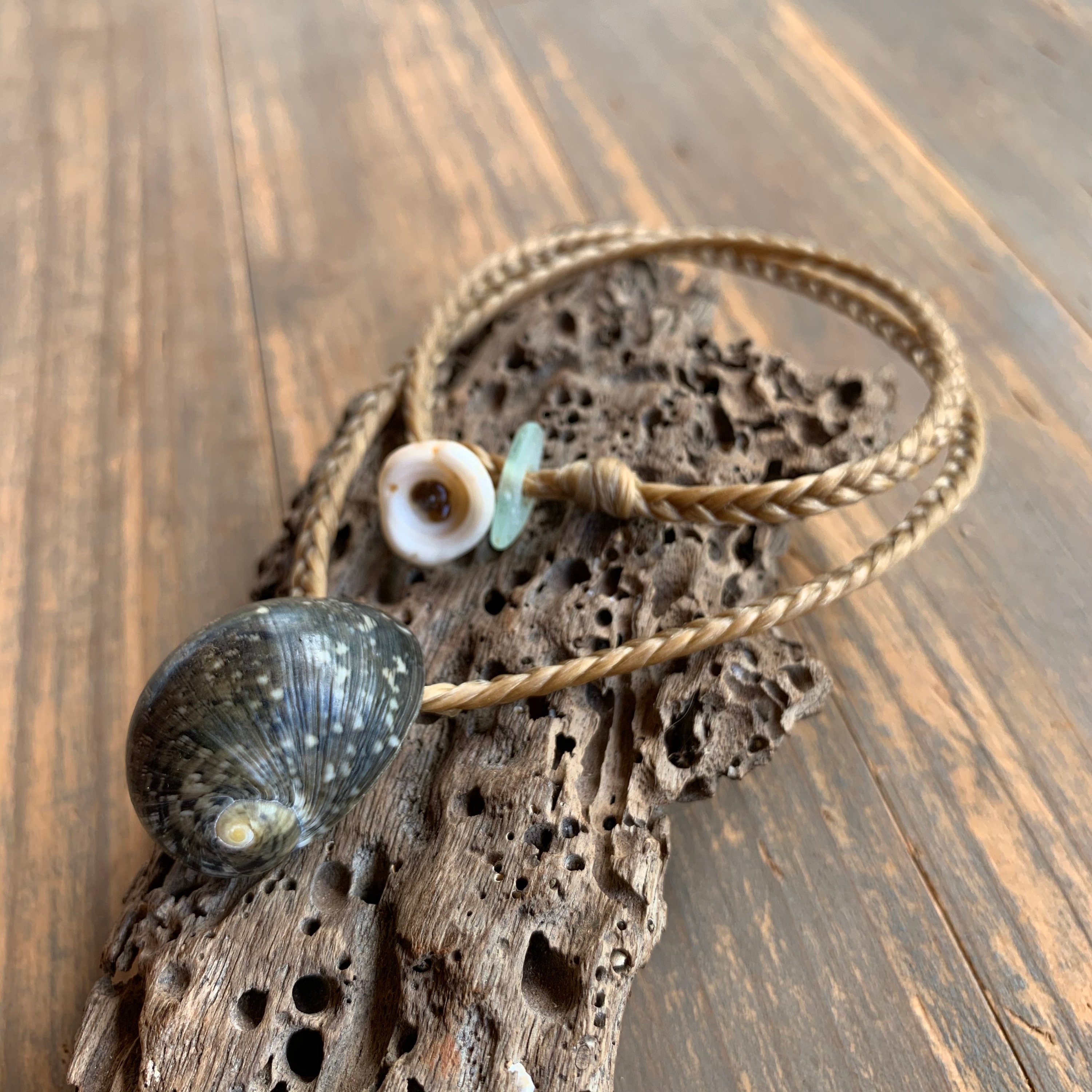 Hawaiian Kupe'e shell necklace with locking seaglass clasp | Etsy