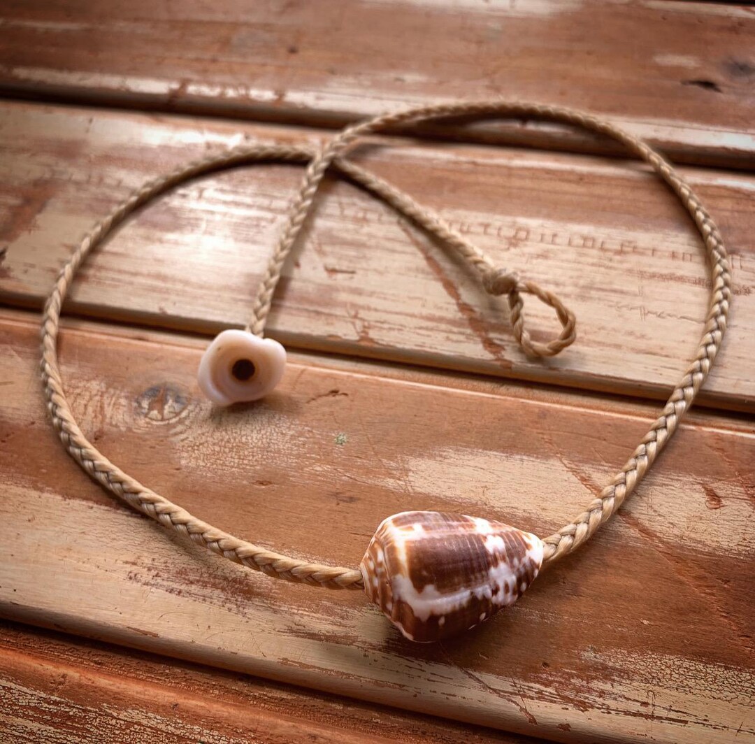 Hawaiian Cat Cone Shell Necklace or Choker - Etsy