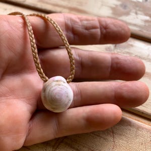 Purple Spiral Puka Cone Shell Cap Necklace - Etsy