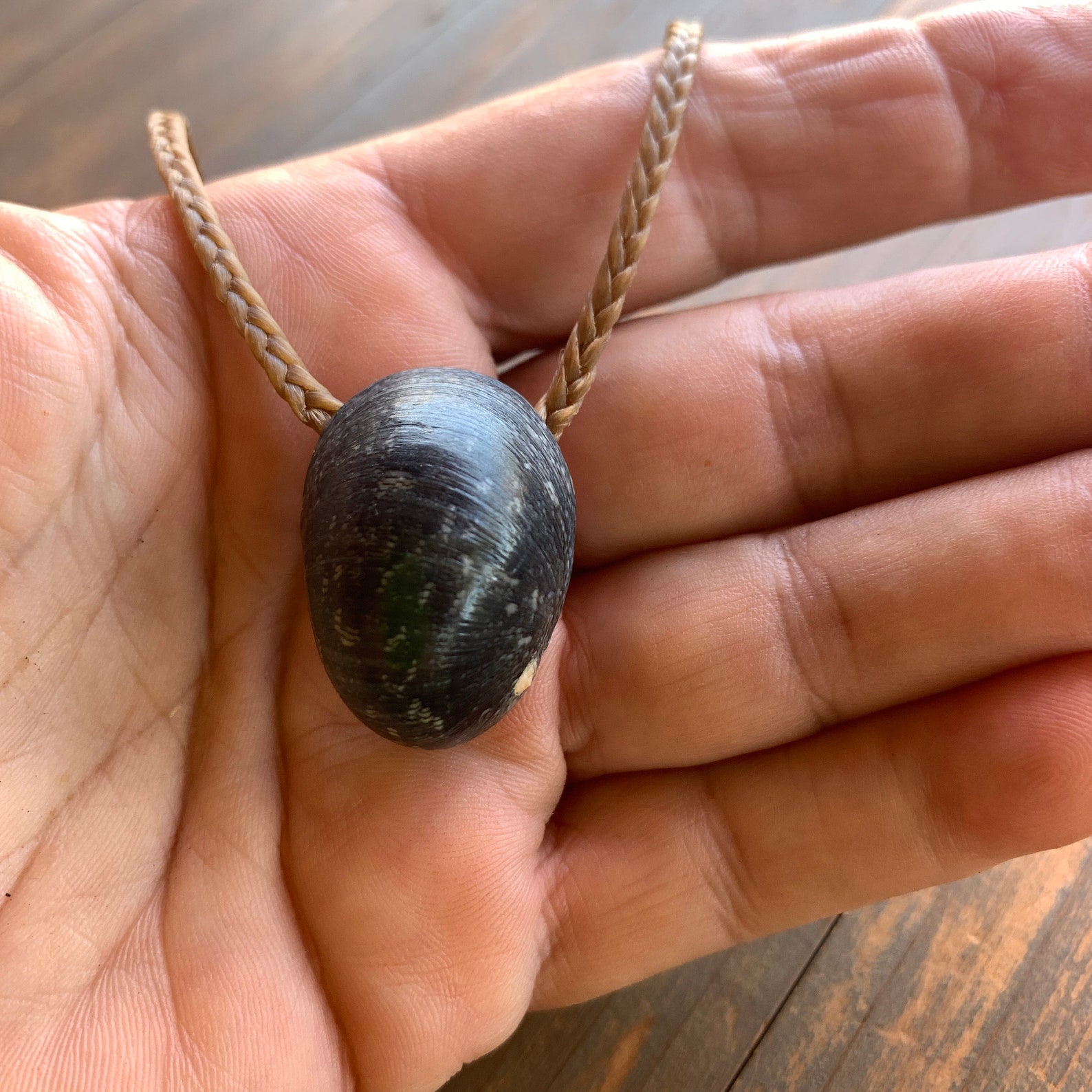 Hawaiian Black Kupee Shell Necklace on Hand Braided Sinew - Etsy