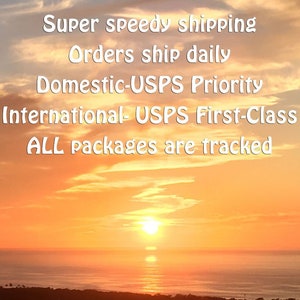 Hawaiian Black Kupee Shell Necklace on Hand Braided Sinew With Locking ...