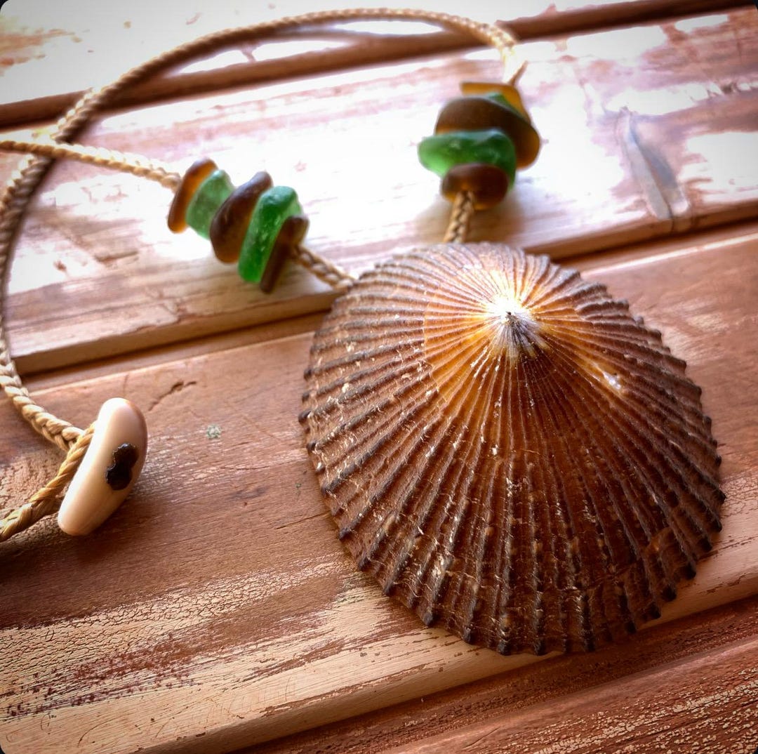 Beach Gathered Golden Opihi Shell With Seaglass Necklace - Etsy