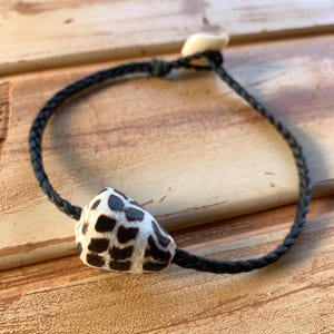 Hawaiian Hebrew Cone Shell Bracelet Size 9 - Etsy