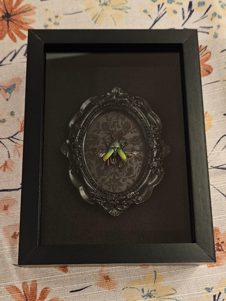 Victorian Gothic Beetle Shadowbox Art | Ornate Framed Taxidermy Insect Art | Green Sawtooth Stag ...