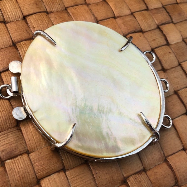 Gold Lip Shell - Etsy