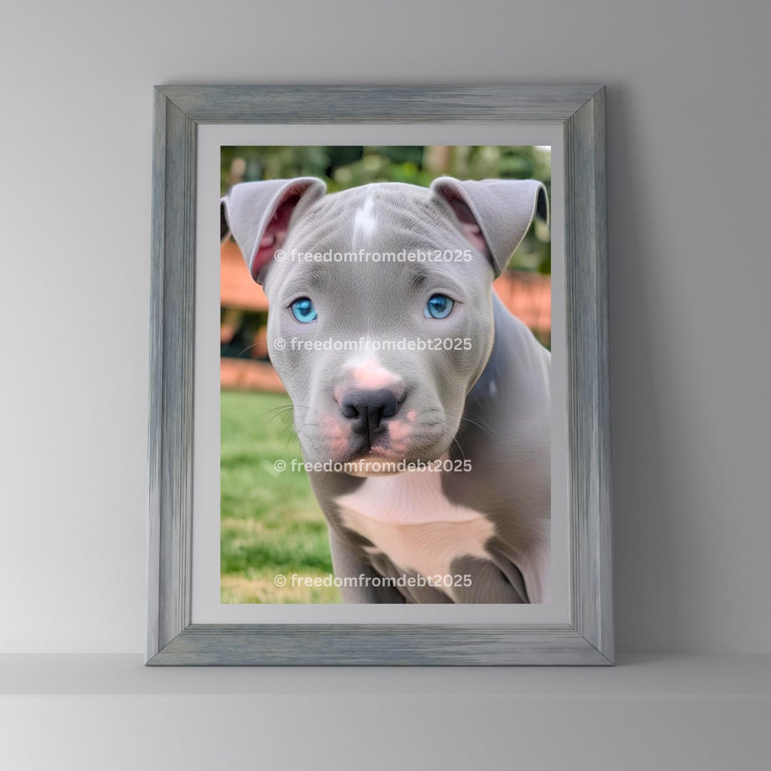 Blue Nose Pit Bull Puppy, Digital Art, Art Print, Pity, Dog Decor, Pit ...
