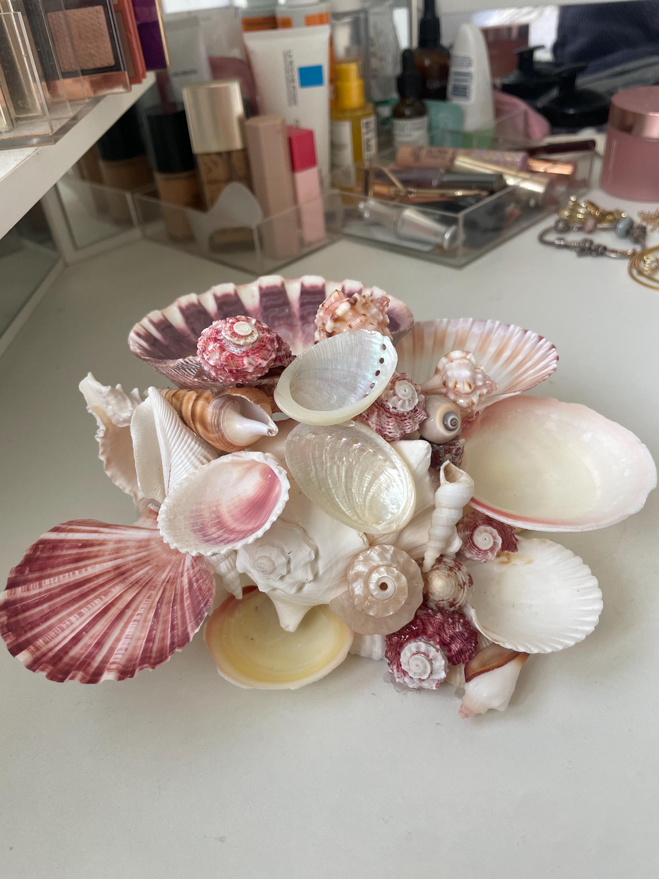 CORAL - Shell Jewelry Holder - Jewellery Display- Beach and Ocean ...