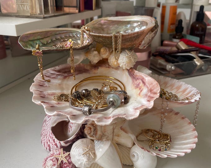 SKYLAR - Shell Jewelry Holder - Jewellery Display- Beach and Ocean ...