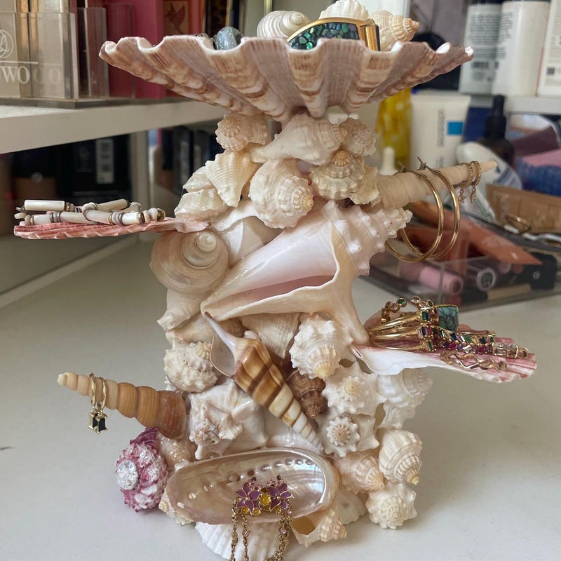 Shell Jewelry Holder - Etsy