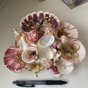 CORAL - Shell Jewelry Holder - Jewellery Display- Beach and Ocean ...