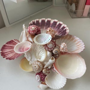 CORAL - Shell Jewelry Holder - Jewellery Display- Beach and Ocean ...