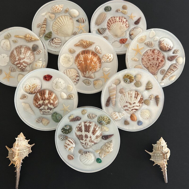 Seashell Coasters - Etsy