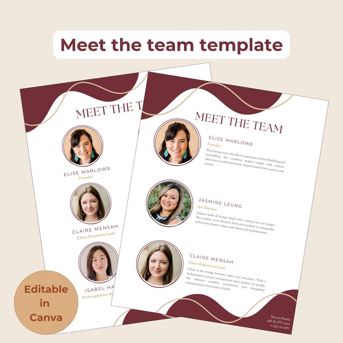 Meet the Team Template | Canva Editable Team Introduction Flyer ...