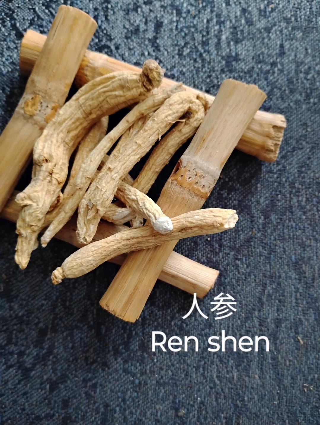 Asian Ginseng --ren Shen - Etsy