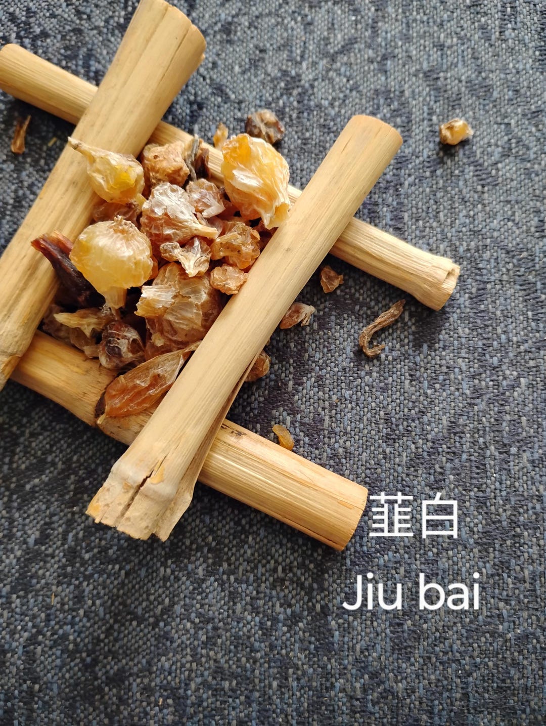 Longstamen Onion Bulb--jiu Bai - Etsy