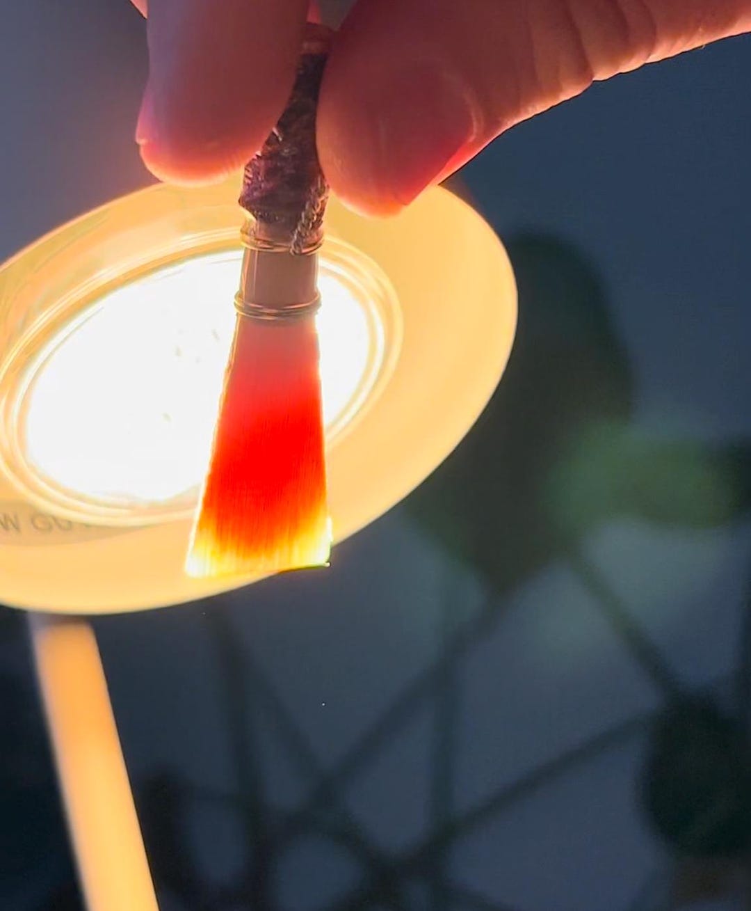 Bassoon Finished Reed Professional High Quality Professionals Dark ...