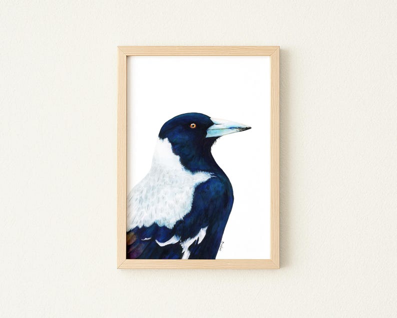 Print Magpie Black and White A4 Australian Bird Watercolour Art - Etsy