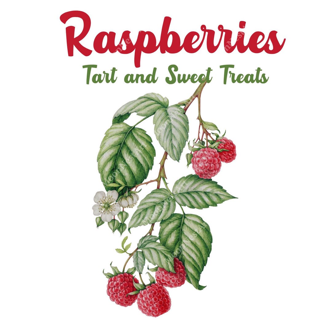 Retro Raspberries PNG, Raspberries Tee PNG, Vintage Raspberry Png ...