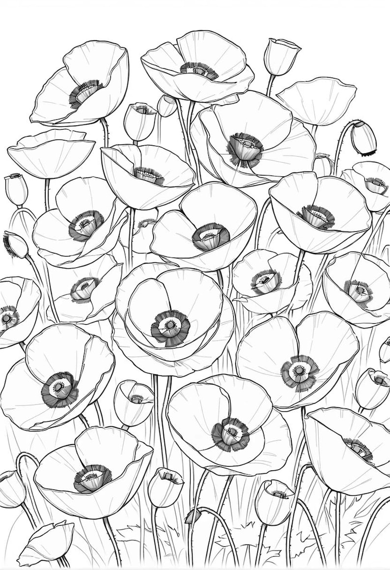 Flower Coloring Pages: 50 Printable Designs for Relaxation (digital ...