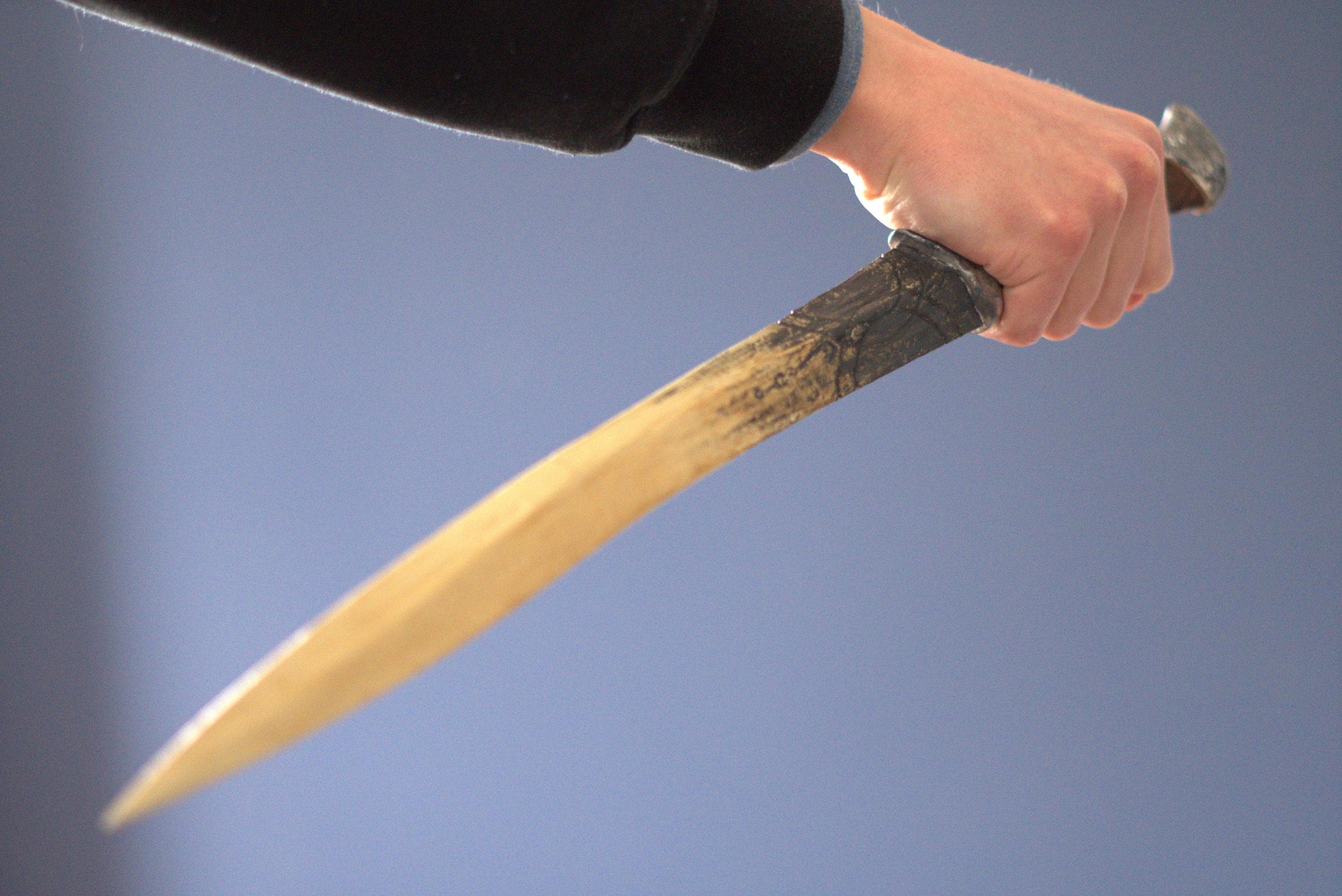 Dune Paul Atreides Crysknife | 3D Printed | Fully Painted - Etsy