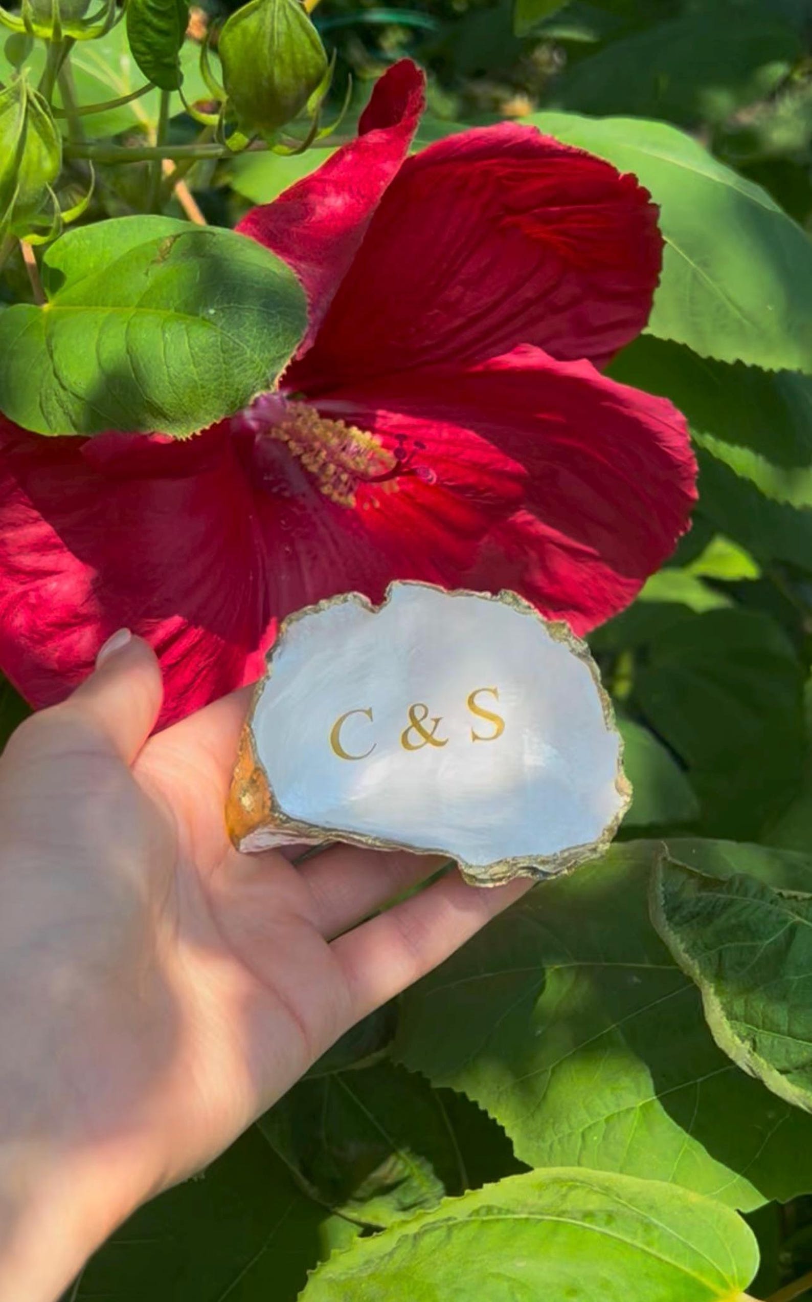Hand Made Oyster Shell Ring Dish or Trinket Dish. Newlywed Gift ...
