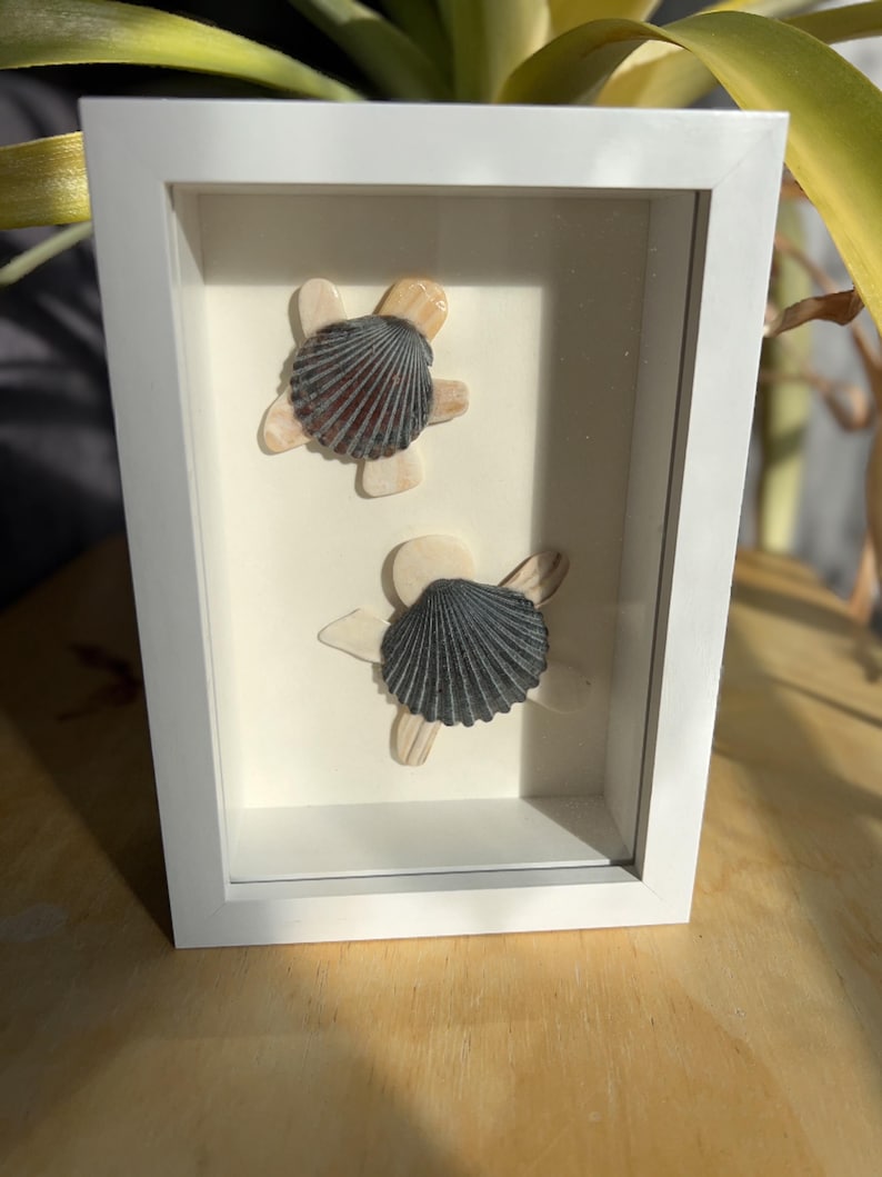 Seashell Turtle Shadow Box – Beach House Decor, Framed Shell Art (4x6 ...