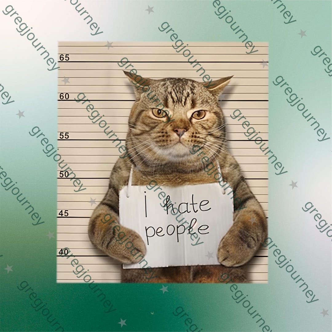 I Hate People Cat Png, Grumpy Kitty Meme Sublimation,anti-social ...