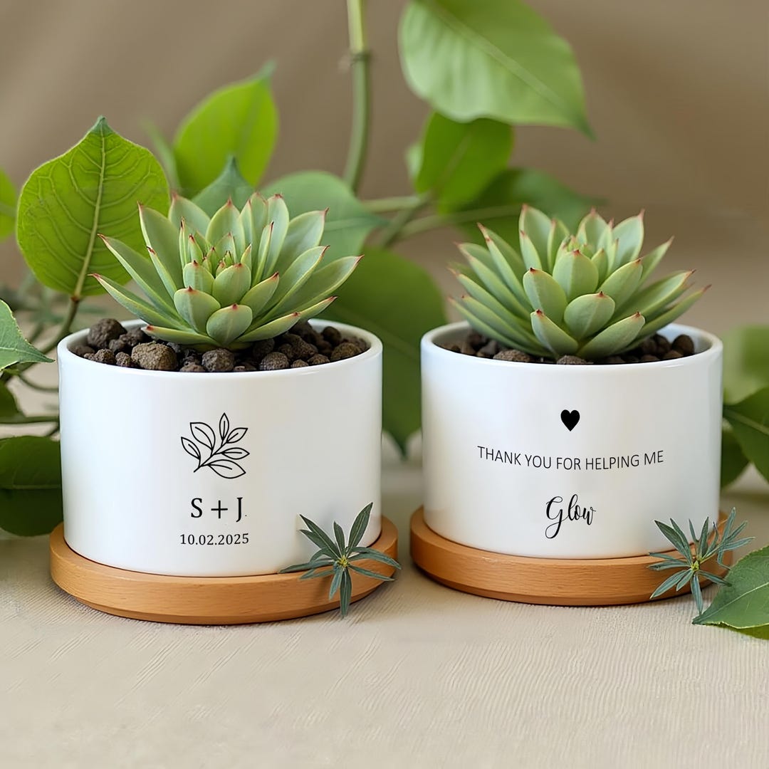 Personalized Mini Succulent Gift，birthday, Anniversary, Coworker ...
