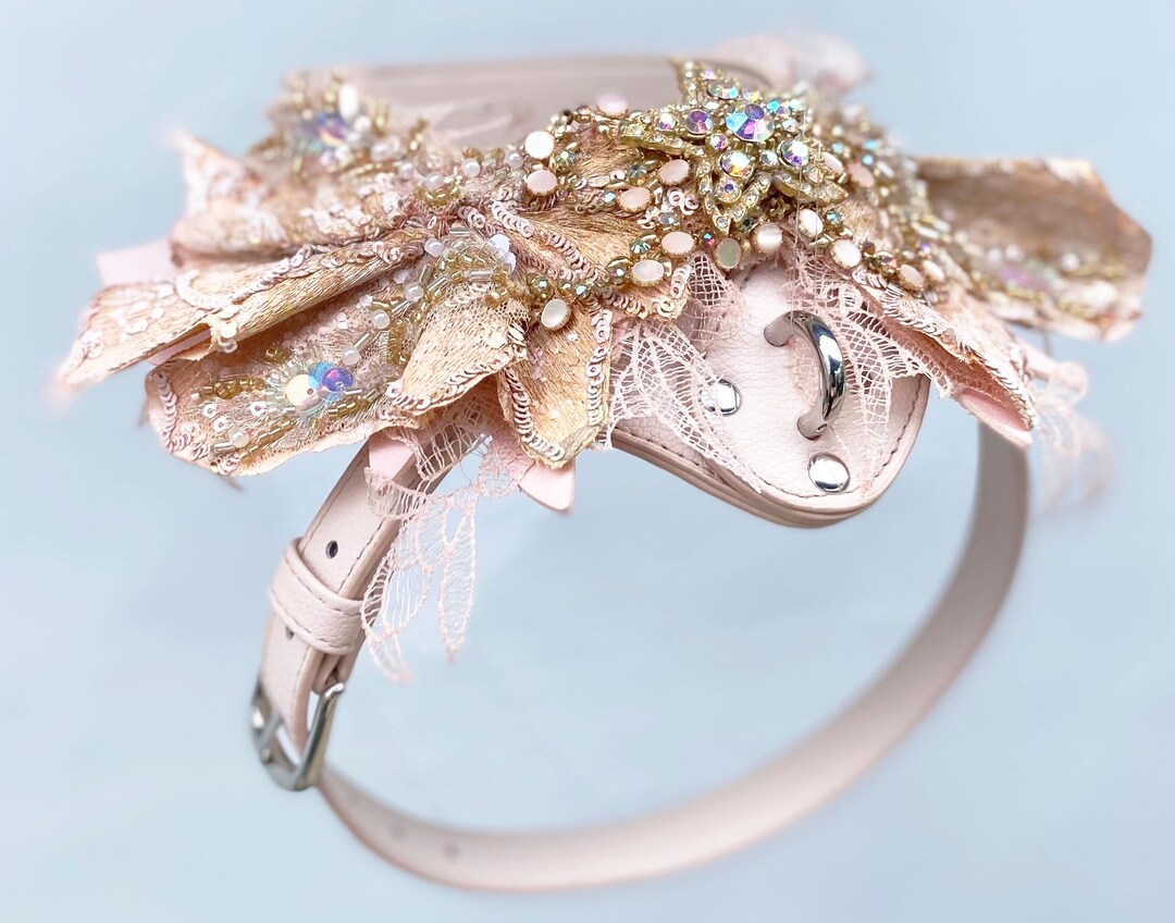 Luxury Jeweled Dog Harness With Angel Wings, Vintage Pink Handmade - Etsy